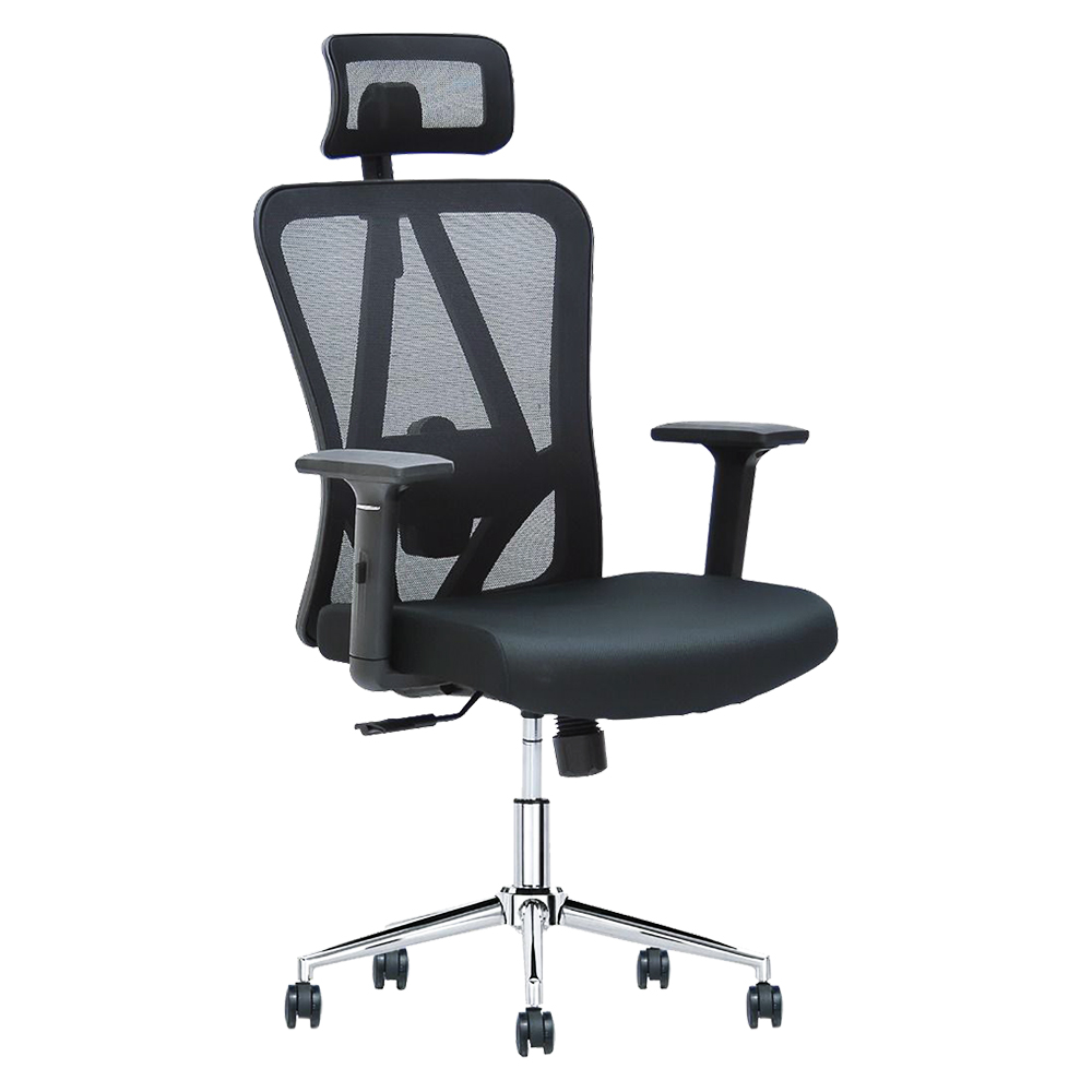 Charleston Mesh Office Chair Lumbar Support - Black | Karnak Home ...